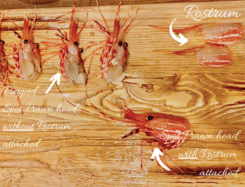 Crispy Fried Spot Prawn Heads | Saraspe Seafoods